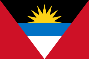 Yellow Flags | Flaggeo